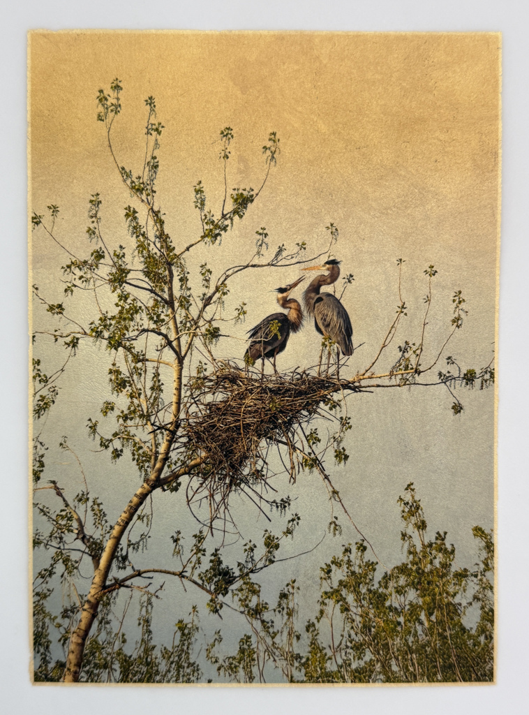 L.A. Photo Curator: Global Photography Awards - 'Where Photography ...